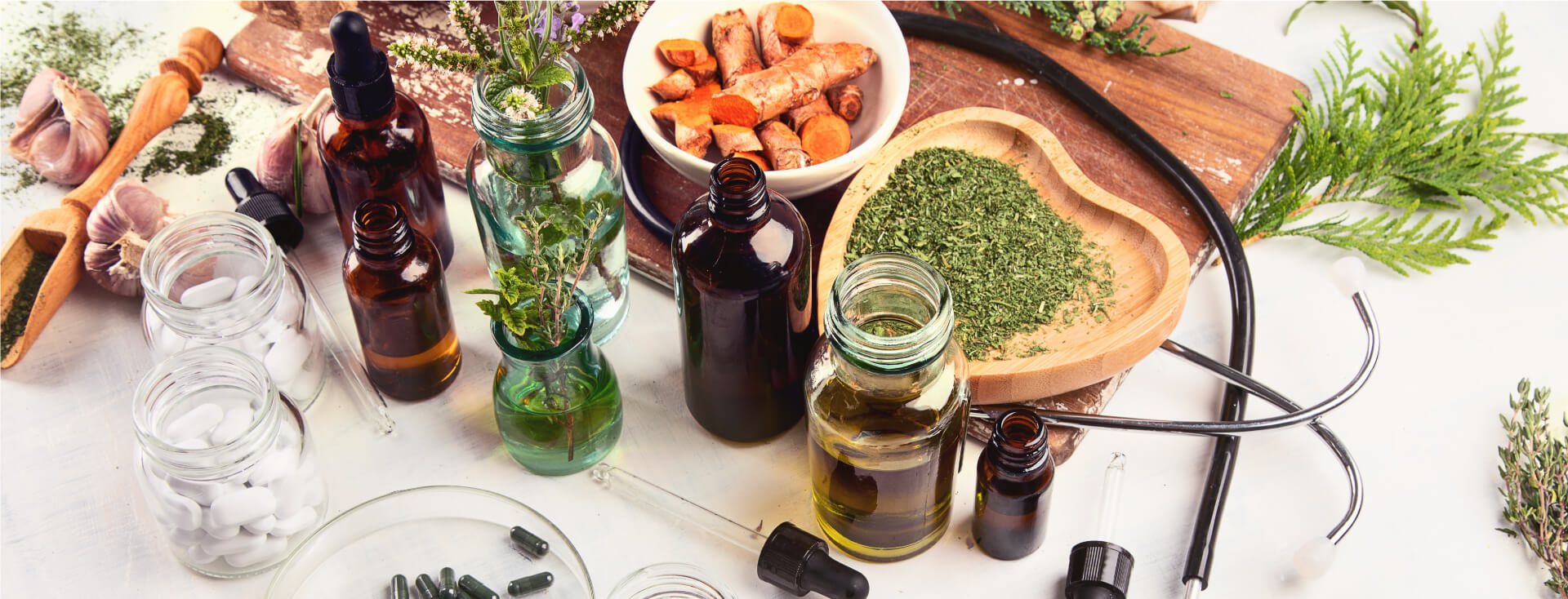 Clinical Herbal Therapy Online Program | Dominion Herbal College